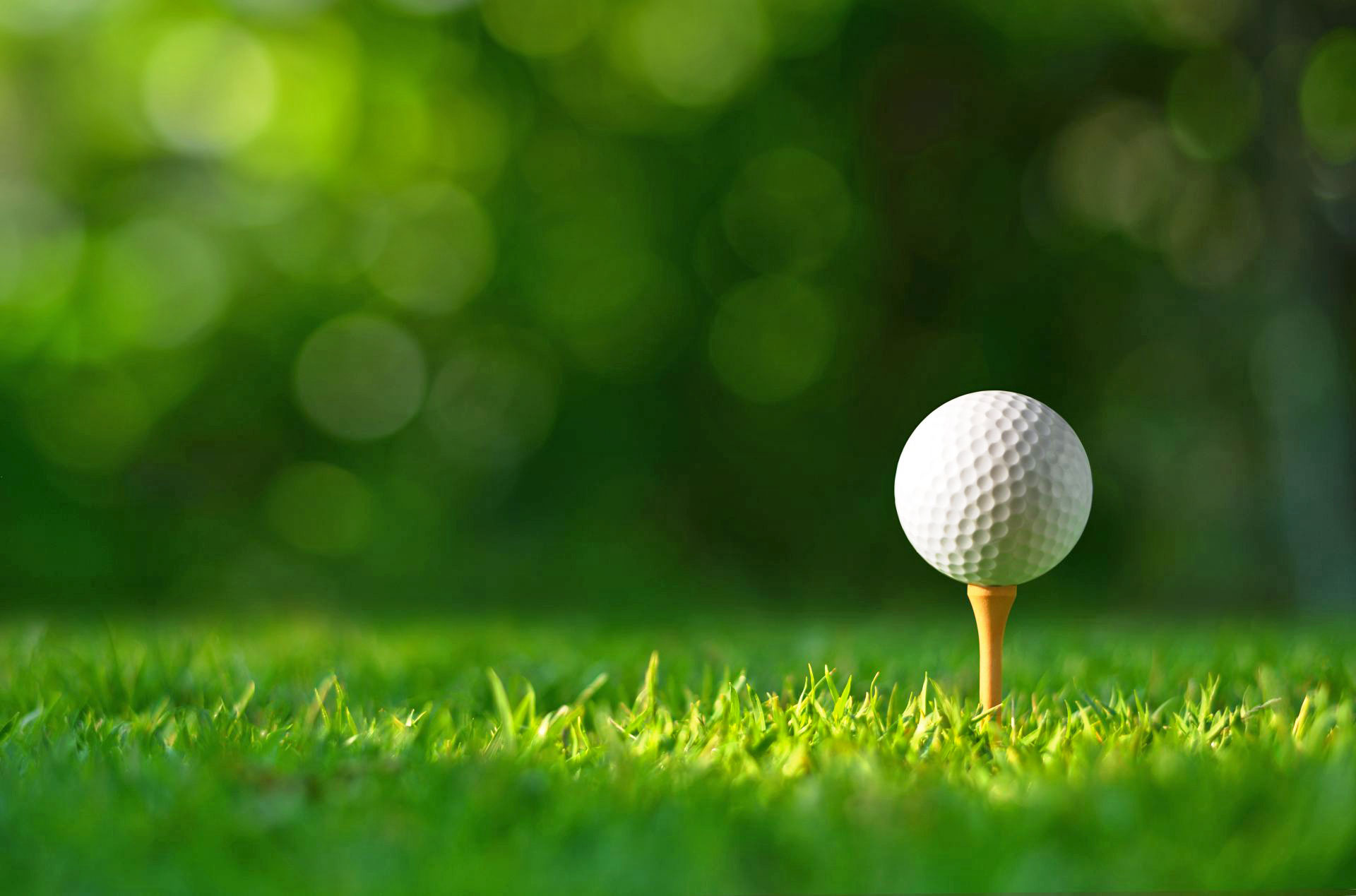 Community on the Course Turns Golf Into Giving | Strongman Luca James ...